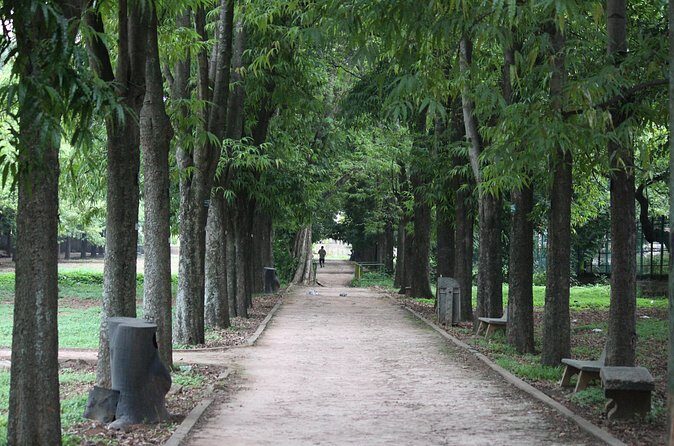 Cubbon Park Heritage Walk: A self-guided tour of Bangalore's unique history - The Sum Up: Is it Right for You?