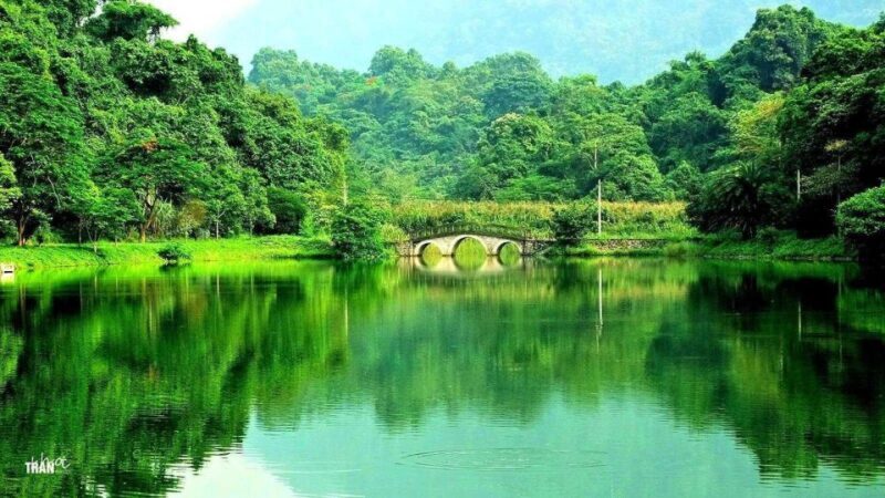 Cuc Phuong Forest - The Forest Of Thousands Of Butterflies - An In-Depth Look at the Cuc Phuong Forest Tour