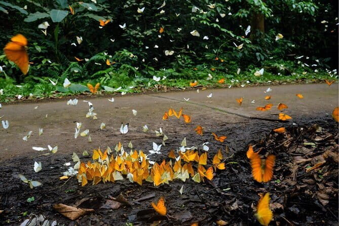 Cuc Phuong National Park Adventure: Trekking with Local Guide - Key Points