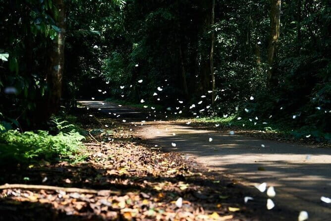Cuc Phuong National Park Adventure: Trekking with Local Guide - Exploring Cuc Phuong National Park: A Journey into Vietnam’s Green Heart