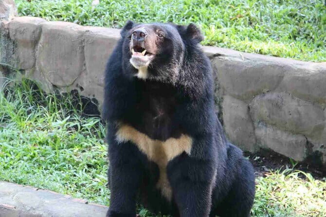 Cuc Phuong National Park and Bear Sanctuary Full Day Tour - Introduction: Nature and Conservation Combined