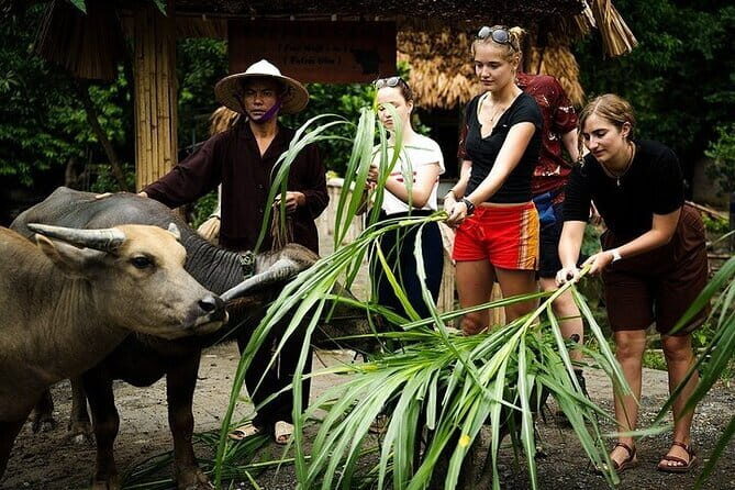 Cuc Phuong National Park and Bear Sanctuary Full Day Tour - FAQ