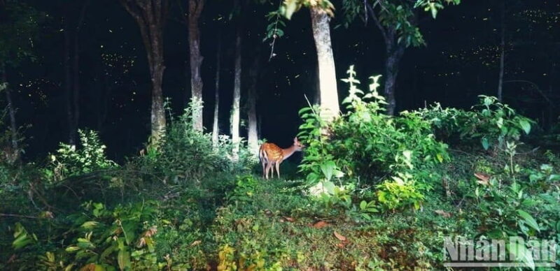 Cuc Phuong National Park And Van Long Wetlands 2 Days Tour - Scenic Journey Through Van Long Wetlands
