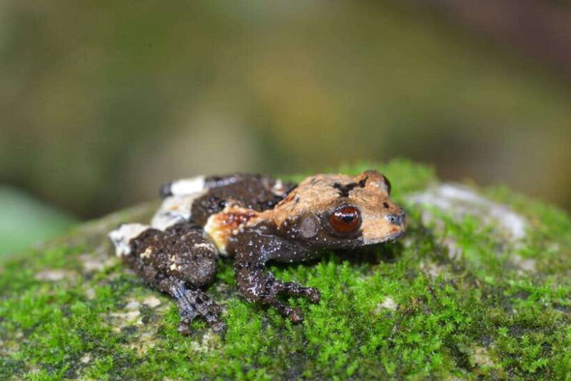 Cuc Phuong National Park And Van Long Wetlands 2 Days Tour - Who Should Book This Tour?