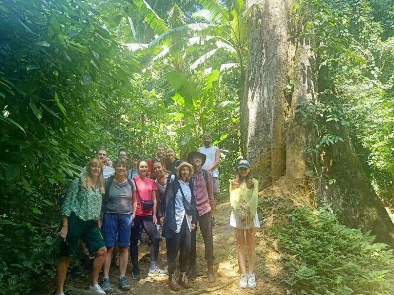 Cuc Phuong National Park Full Day Trip From Hanoi - Key Points