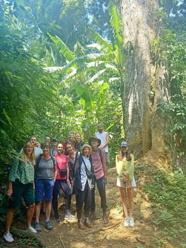 Cuc Phuong National Park Full Day Trip From Hanoi - Discovering Nguoi Xua Cave and Prehistoric Artifacts