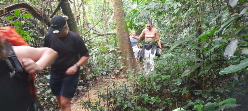 Cuc Phuong National Park Hiking Tour - Hike to the Ancient Tree