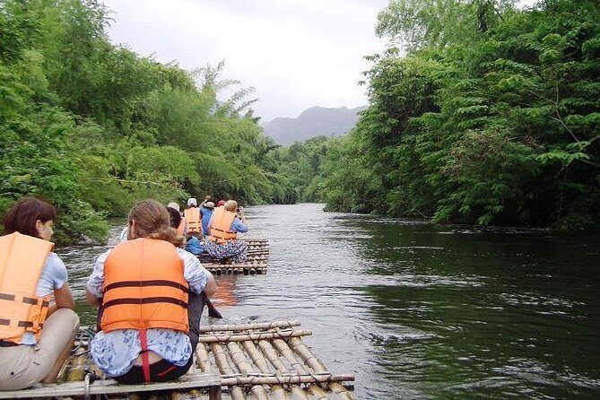 Cuc Phuong National Park - Ninh Binh - A Deep Dive into the Experience