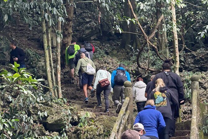 CUC Phuong National Park One Day Small Group - Trekking Through Vietnam’s Oldest Forest