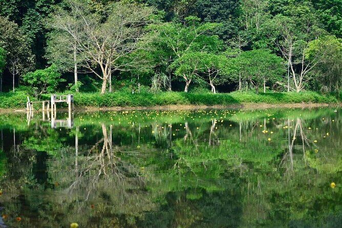 Cuc Phuong National Park Private Day Tour: Trekking & Primates - What Sets This Tour Apart?