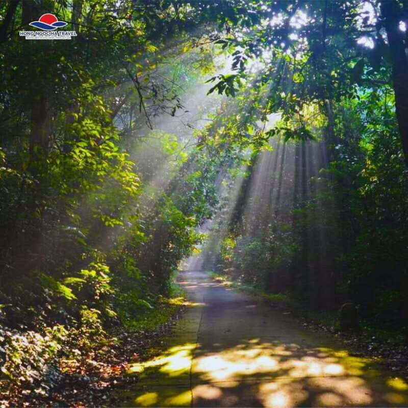 Cuc Phuong National Park Private Tour From Hanoi Old Quarter - What to Know Before Booking