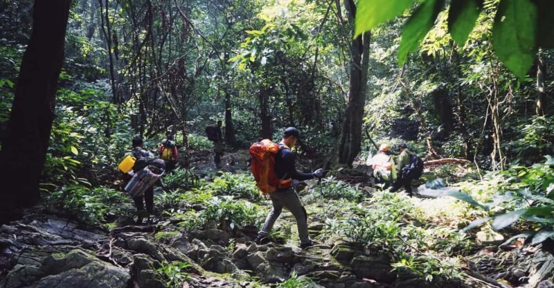 Cuc Phuong National Park: Trek & Camp in Jungle 2 days - An Overview of the Two-Day Jungle Journey