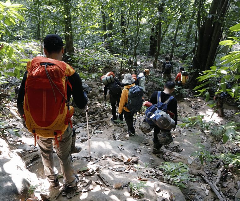 Cuc Phuong National Park: Trek & Camp in Jungle 2 days - Who Should Consider This Tour?