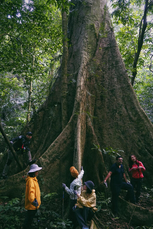 Cuc Phuong National Park: Trek & Camp in Jungle 2 days - Final Words