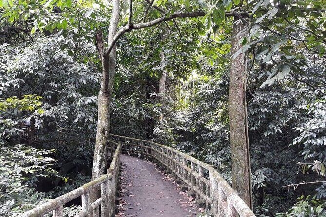 Cuc Phuong National Park Trekking: Private Day Tour From Hanoi - Itinerary Breakdown: Whats in Store