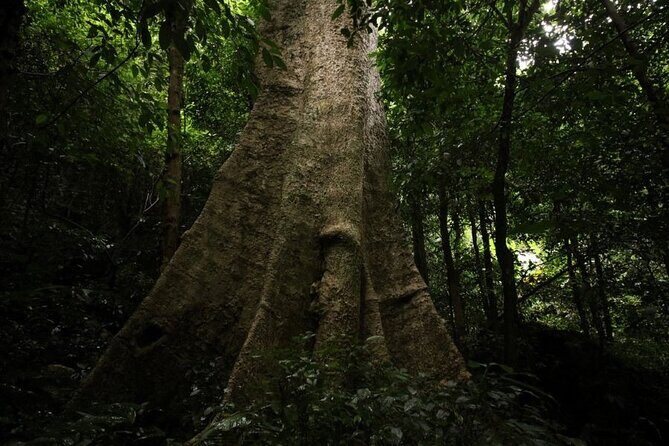 Cuc Phuong National Park Trekking: Private Day Tour From Hanoi - Final Thoughts: Who Should Consider This Tour?