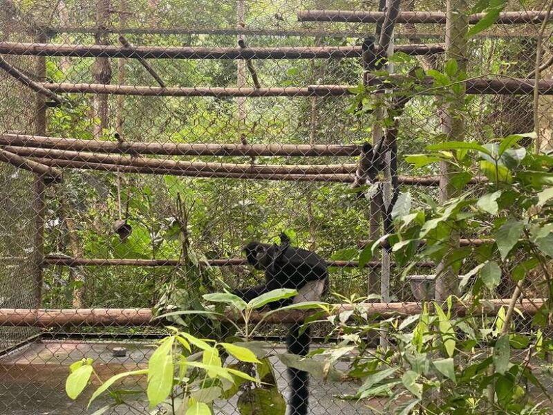 Cuc Phuong National Park - Van Long Day Trip From Hanoi - FAQ