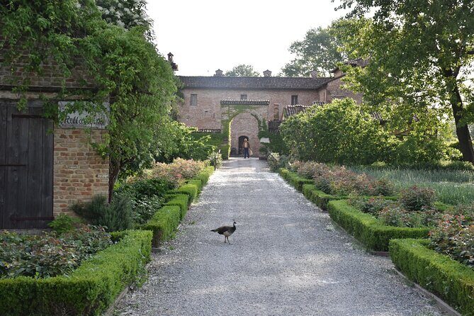 Culatello and more: Private Full-Day Food Tour in Parma - Discovering Parma’s Gastronomic Gems in Depth