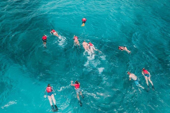 Culebra Snorkel and Turtle Adventure with Transport - Practical Tips for a Smooth Trip