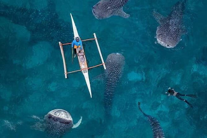 Culinary Adventure Through Cebu's Street Food and Historic Place - Analyzing the Value