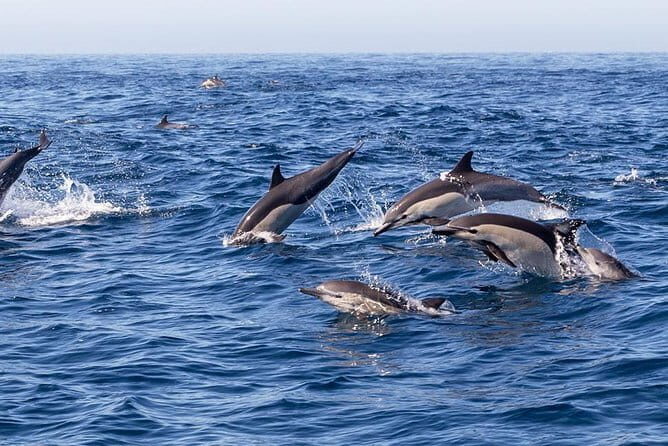 Culinary Adventure Through Cebu's Street Food and Historic Place - FAQ