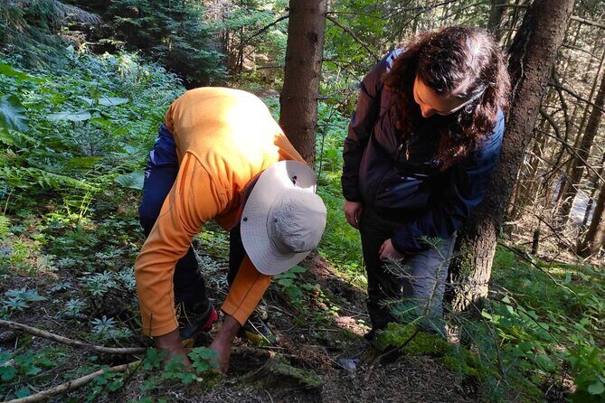 Culinary Adventure To The Fungi And Botanical Kingdom Of Bulgaria - Concluding Thoughts