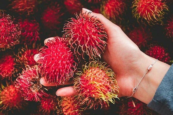 Culinary Tour Sri Lanka ( 10 N/ 11 D) - Overview and Main Highlights