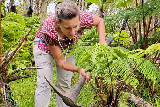 Cultivate Hapuu Ferns with Citrus Tea in the Hawaiian Rainforest - Who This Tour Is Best For