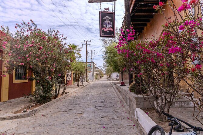 Cultural and Culinary Tour of El Triunfo, Baja California Sur - FAQ