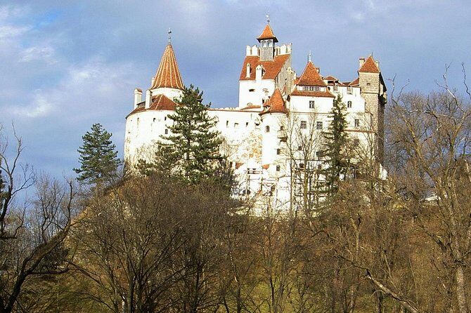 Cultural Day Trip to Transylvania including Peles Castle & Bran Dracula's Castle - Introduction