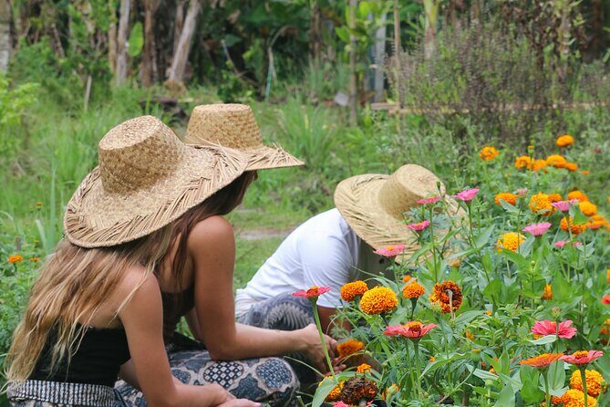 Cultural Experience Balis Ancient Kingdom - Exploring Bali’s Heart in Ubud