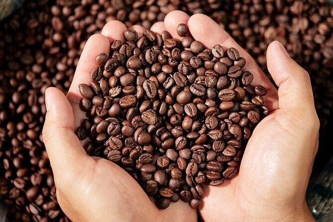 Cultural Immersion in Cacao and Coffee in the Southern Sierra of Oaxaca - What Travelers Are Saying