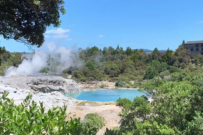 Cultural Rotorua Private Tour Tauranga Port. Whakarewarewa Ticket - Starting Point: Tauranga and the Scenic Drive
