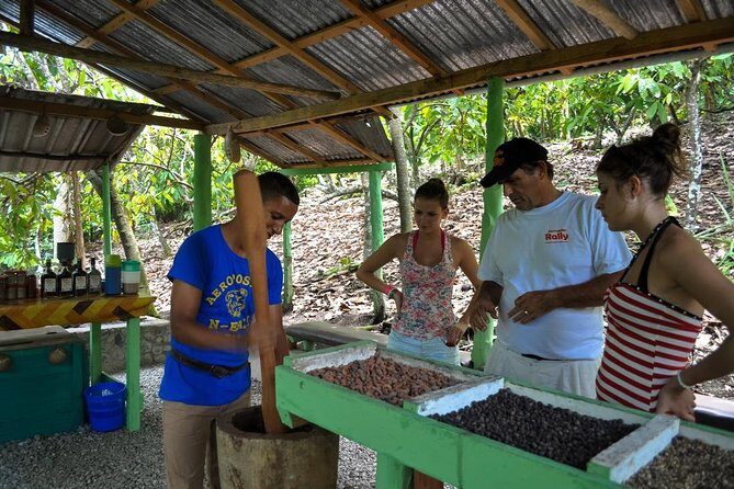 Cultural Safari Tour from Punta Cana - Transportation and Group Size