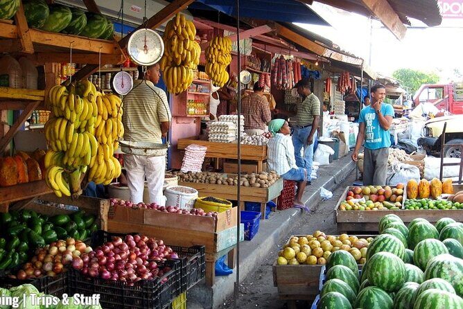 Cultural Safari Tour through the countryside of the Dominican Republic - What Makes This Tour Special