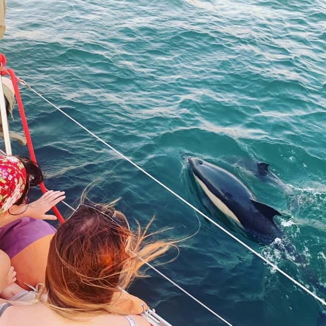 Cultural Sailing Tour in Lisbon - Key Points