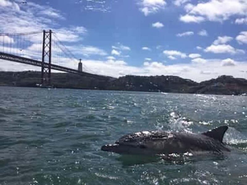 Cultural Sailing Tour in Lisbon - FAQs