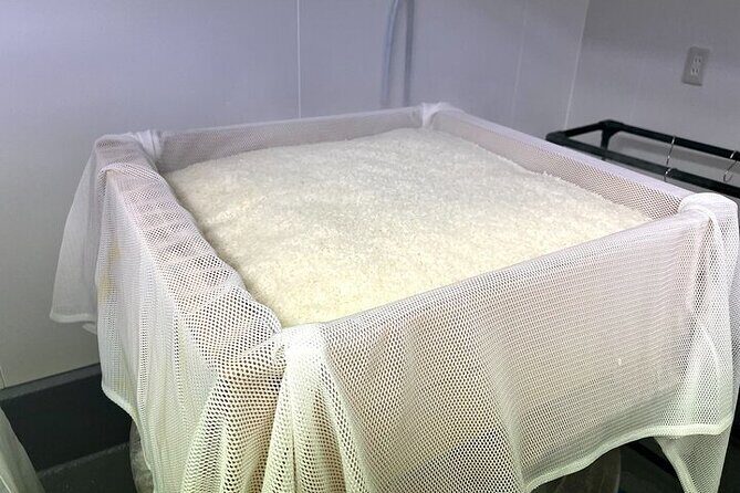 Cultural Sake Brewery Private Tour & Unlimited Tasting Near Tokyo - Interaction with the Toji (Master Brewer)