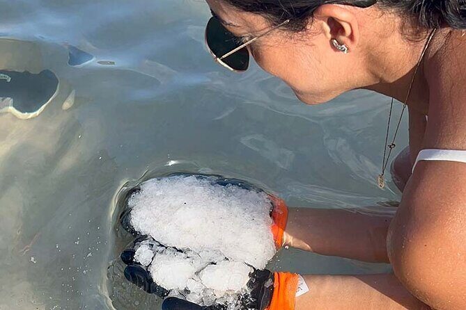 Cultural Salt Picking Experience in Anguilla - A Closer Look at the Salt Picking Tour