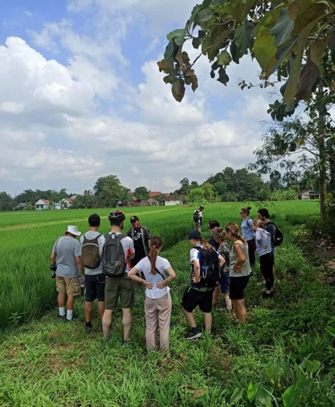 Cultural tour by Becak (traditional Yogyakarta transport) - What to Expect from the Journey