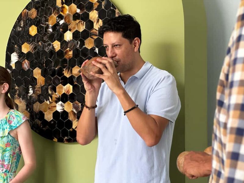 Cultural tour in Mérida's historic center - Why We Think This Tour Works Well