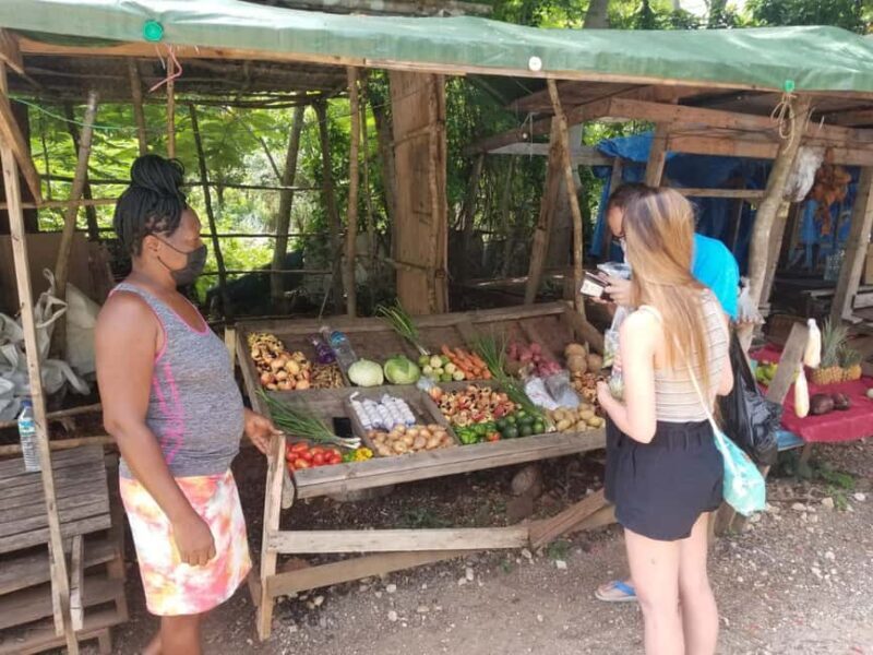 Cultural tour of Montego Bay & Jamaica Highlight and shop. - Key Points