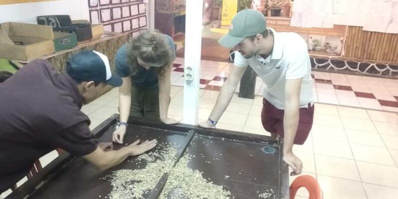 Cultural tour with Hike through beautiful nature of Bandung - Key Points