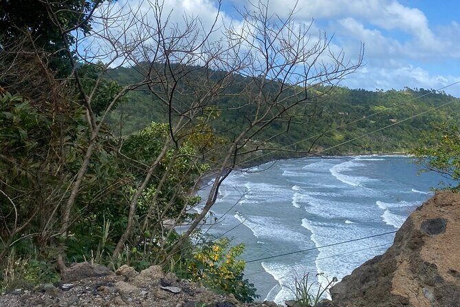 Cultural Tours Of Kalinago Territory of Dominica with Past Chief - The Sum Up