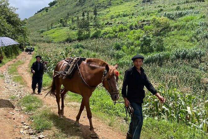 Cultural Trekking Tour of H'Mong Village In Dong Van - The Sum Up