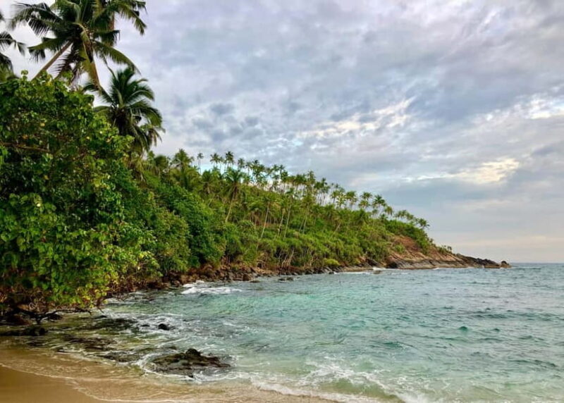 Culture and Wildlife 4 Days Private Tour with Beach Holiday - Discovering Sri Lankas Richer Layers