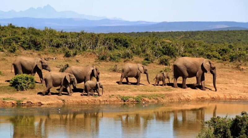 Culture and Wildlife 4 Days Private Tour with Beach Holiday - The Hills and the Beaches