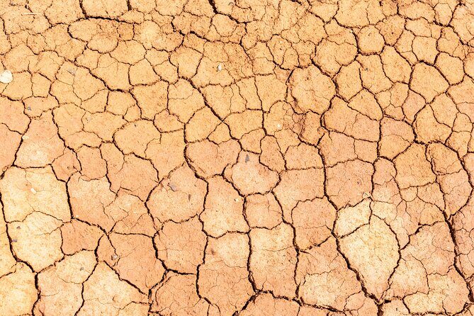 Curaçao Cave Kunuku and Cas Abou Jeep Safari Adventure - Key Points