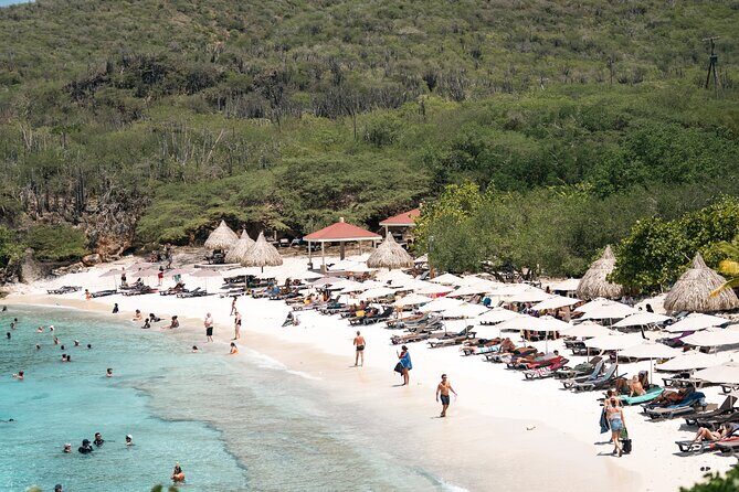 Curaçao Full-Day Tour: Hato Caves, Turtles, Kenepa & Flamingos - Key Points