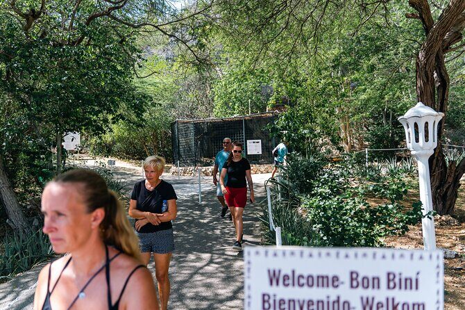 Curaçao Full-Day Tour: Hato Caves, Turtles, Kenepa & Flamingos - The Sum Up: Who Is This Tour Best For?